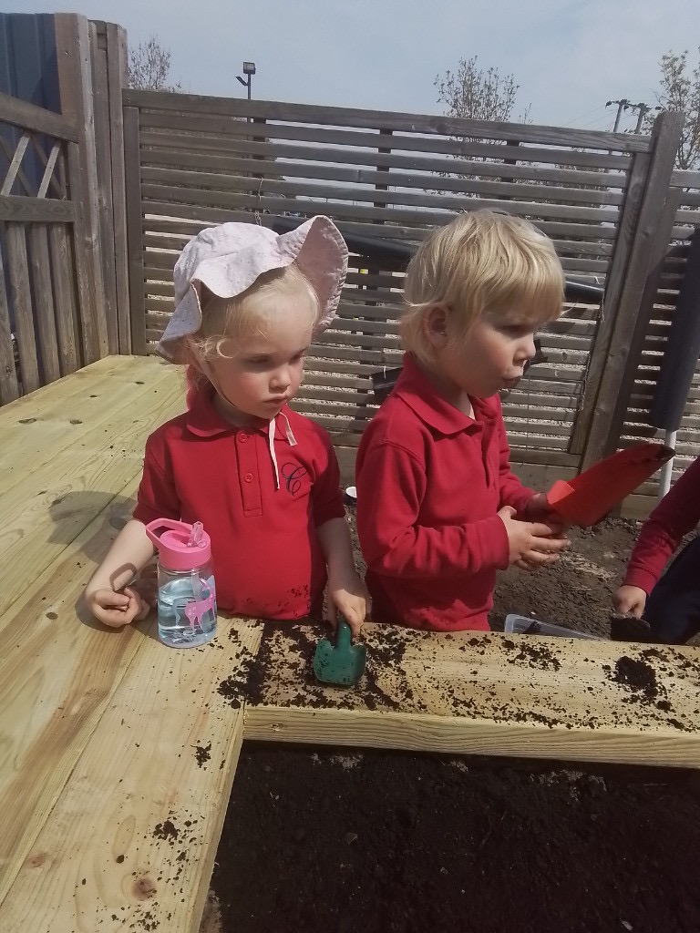 Herb Garden – Copthill School