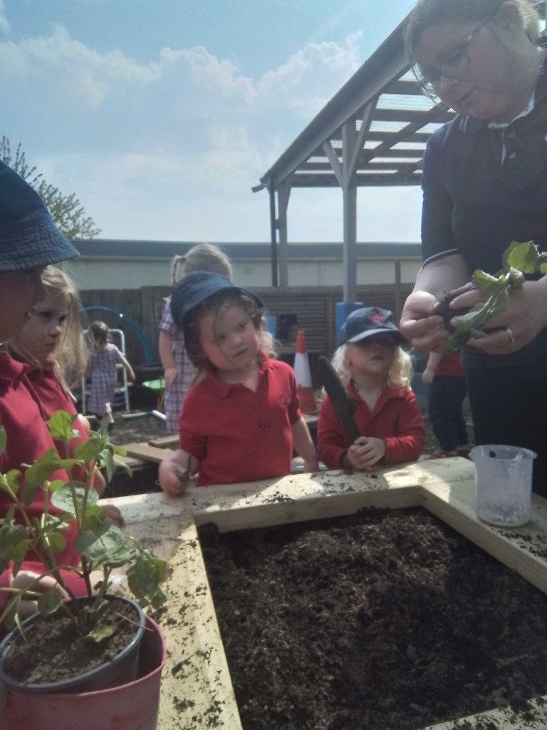 Herb Garden – Copthill School